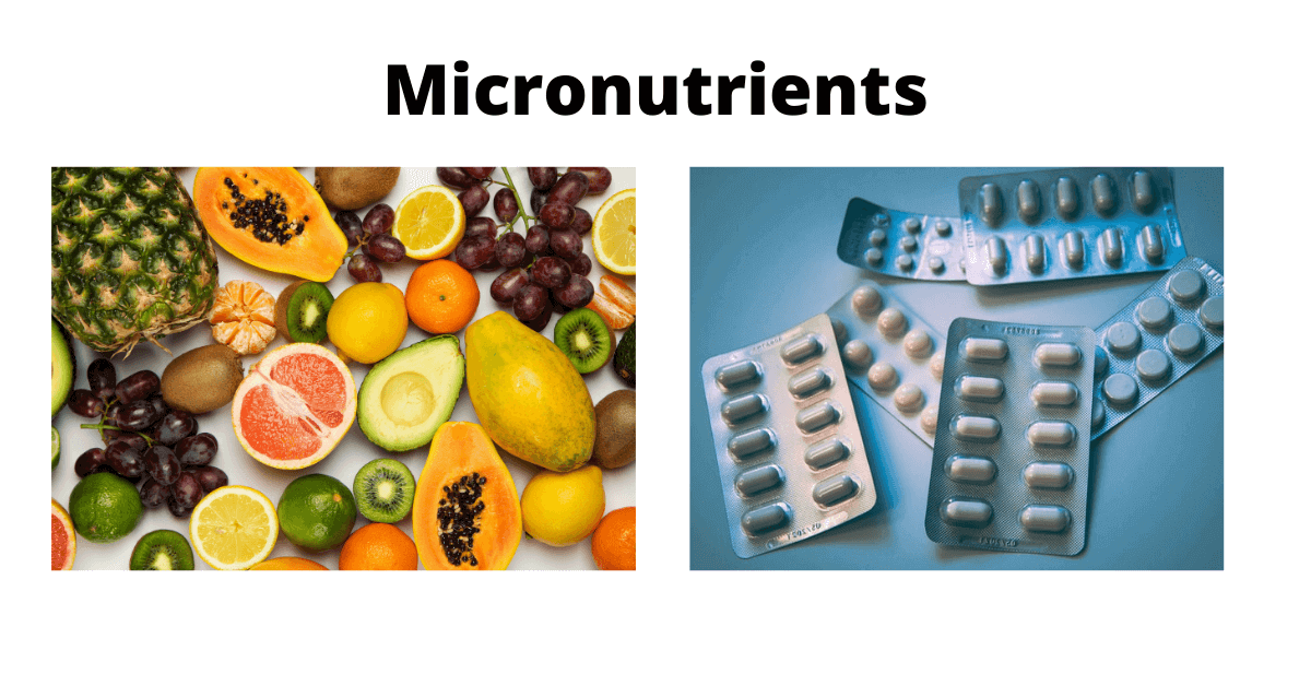 Macronutrient Obsessed Fitness World - Ignoring The Benefits of ...